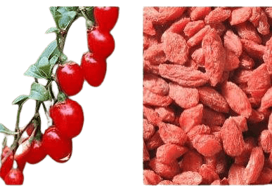 Goji Berry Health Benefits with helpful male infertility