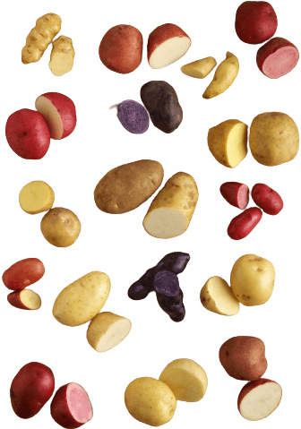 Potatoes - Nutrients with Health benefits and side effects