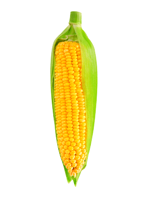 List of vegetables(a-z) name with pictures