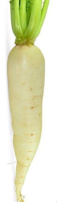 List of vegetables(a-z) name with pictures