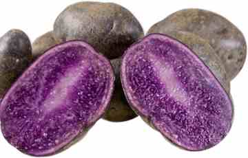 What are blue potatoes? nutrition and good for health benefit.